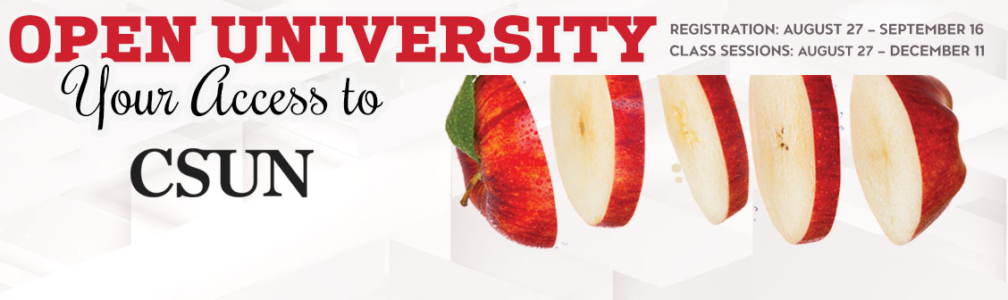 Tseng College - California State University, Northridge (CSUN ...